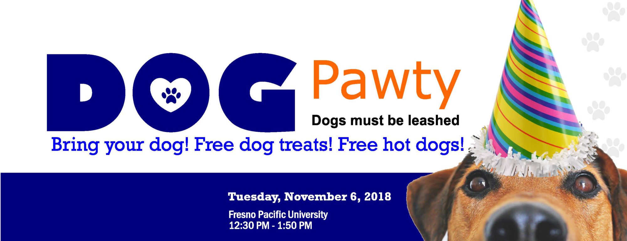 Is the CCT Barking Mad? - Center for Community Transformation